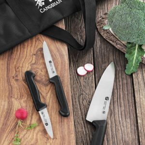 Top Cut by Cangshan | P2 Series 1020137 Sandvik 12C27 Swedish Steel Chef Knife, 8-Inch