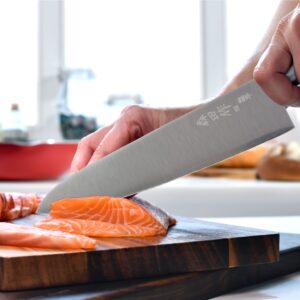 CHUYIREN 2 Pcs Japanese Chef Knife 9.5 inches, Professional Gyuto Chef Knife, Sharp Sashimi Knife with Ergonomic Handle, Sushi Knife