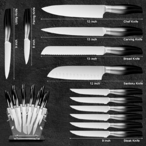 Knife Set, 12 PCS kitchen Knife Sets with Block, Stainless Steel 6 Steak Knives, Chef's Knife, Carving Knife, Santoku Knife, Bread Knife, Utility Knife and Paring Knife with Acrylic Stand, Black