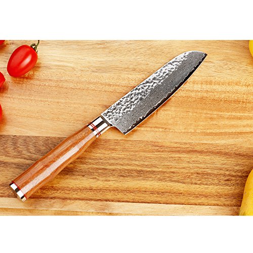 Sunlong Santoku 5 inch Chef's Knives Japanese Hammered Damascus Natural Bloodwood Handle