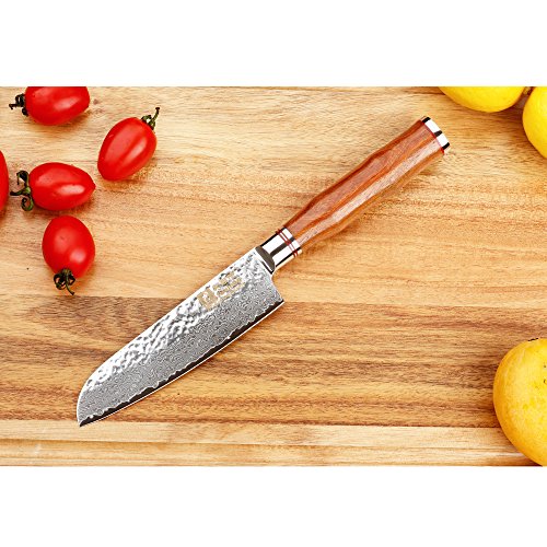 Sunlong Santoku 5 inch Chef's Knives Japanese Hammered Damascus Natural Bloodwood Handle