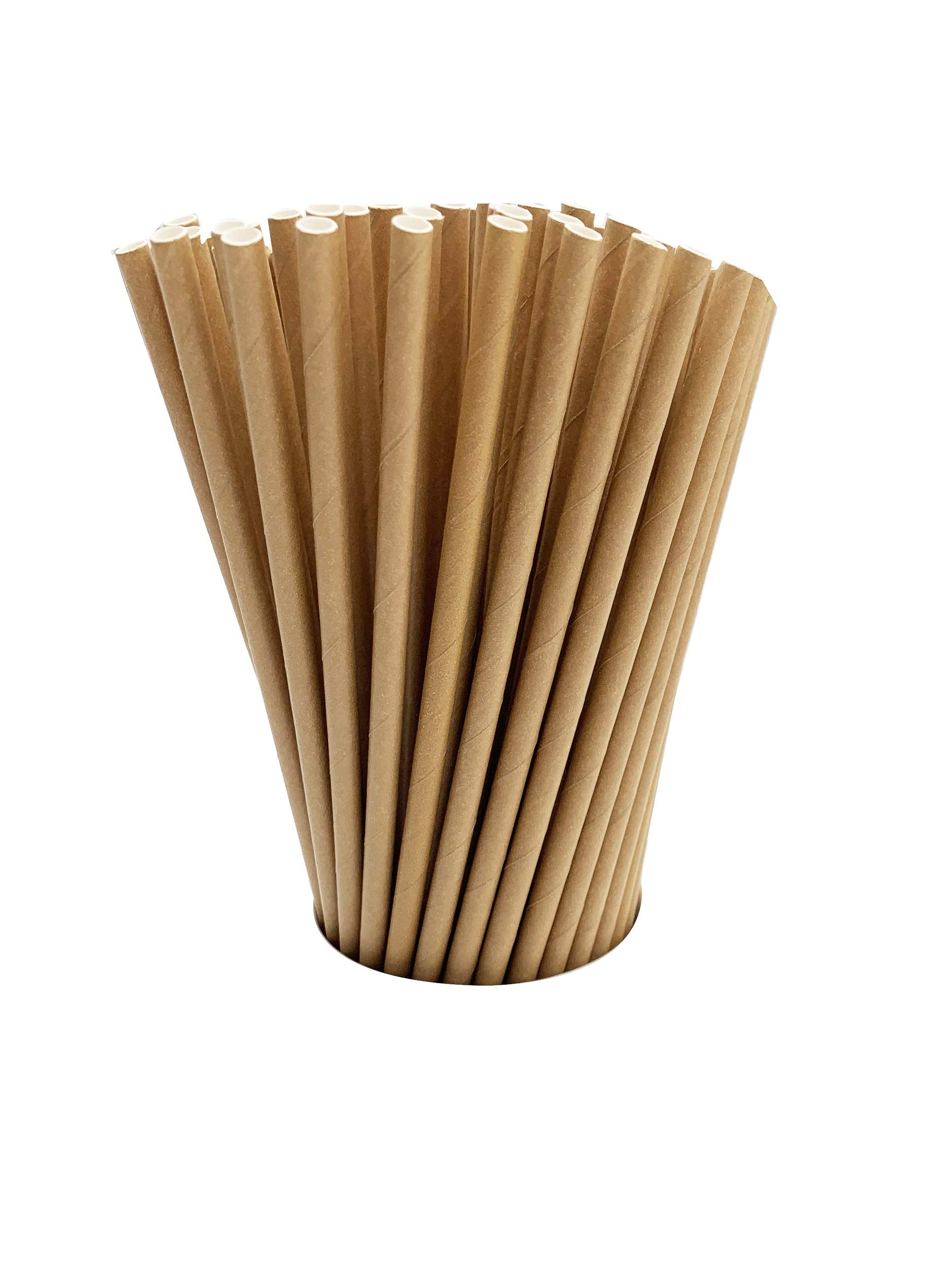 GDMINLO 100 Kraft Biodegradable Paper Straws co-Friendly Biodegradable Drinking Straws Bulk for Party Supplies, Bridal/Baby Shower, Birthday, Mixed Drinks, Weddings, Restaurant, Food Service