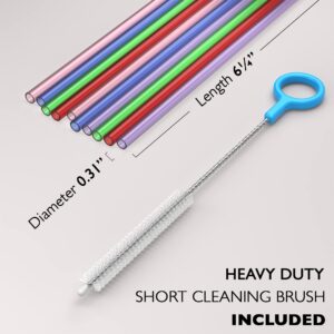 Fiesta First 10 Short Reusable Hard Plastic Drinking Straws, Medium Width + Sturdy Cleaning Brush - For Cocktails, Small Cups, Kids Drinks - Dishwasher Safe BPA Free