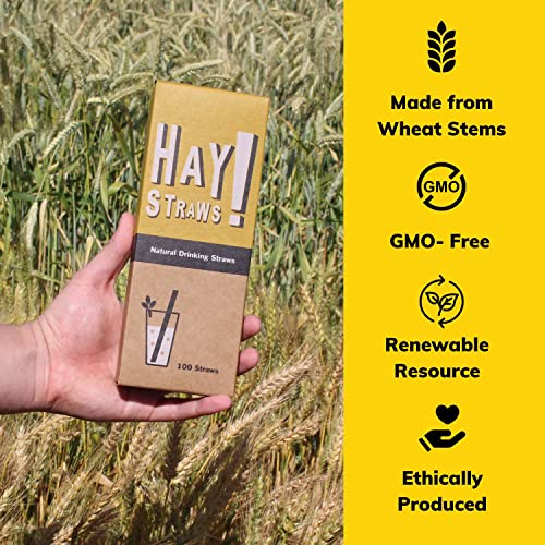 HAY! Straws Tall Drinking Straw | 100ct | 7.75" | 100% Biodegradable, 100% Plant-Based, Never Soggy, Gluten-Free | Sustainable Alternative to Plastic & Bioplastic Straws