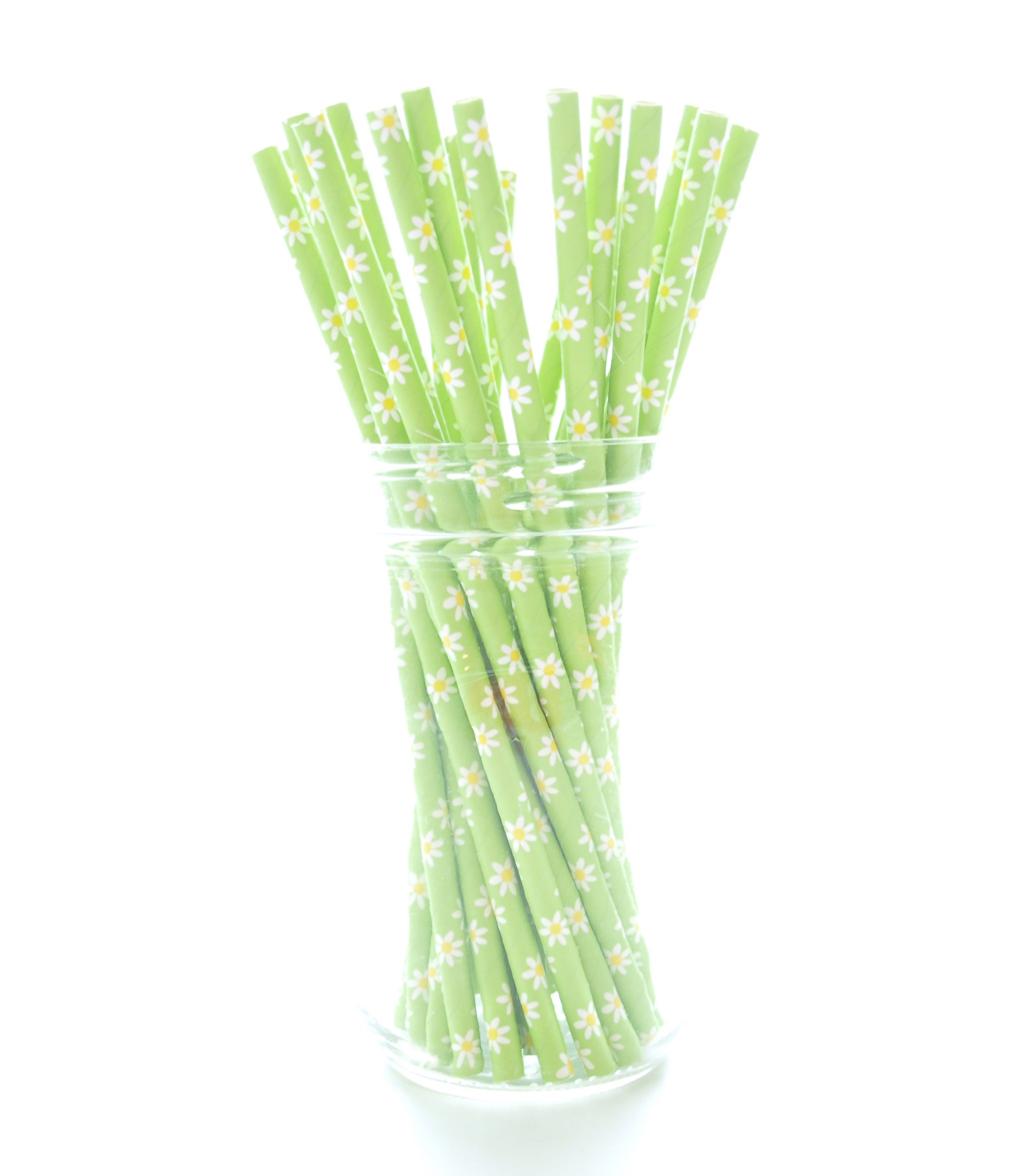 Green Daisy Flowers Straws (25 Pack) - Summer Daisies Flower Party Supplies, Green Floral Wedding Straws, Garden Party Straws