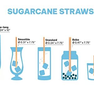 EQUO Sugarcane Straws, Disposable, Biodegradable, Compostable, and Plastic-Free Drinking Straws, Pack of 50, Standard