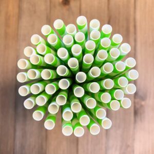 Stripe Paper Straws - Lime Green White - Christmas Birthday Party Supply - 7.75 Inches - Pack of 50 - Outside the Box Papers Brand