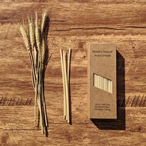 Mindful Nature® Wheat Straws - 100 All-Natural Drinking Straws - Single use, Disposable, Biodegradable, and Compostable