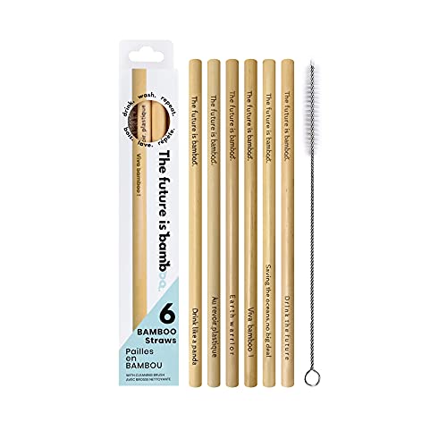 The Future is Bamboo – Bamboo Straws, Reusable Straws, Wooden Straws for Drinks, Pack of 6