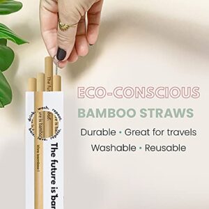 The Future is Bamboo – Bamboo Straws, Reusable Straws, Wooden Straws for Drinks, Pack of 6