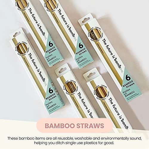 The Future is Bamboo – Bamboo Straws, Reusable Straws, Wooden Straws for Drinks, Pack of 6