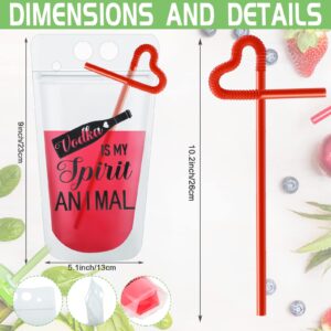 90 Pcs Drink Pouches with Straws for Adults, Clear Plastic Reusable Drink Bags Juice Pouches with Zipper Party Beverage Bags for Adults Teen Party Favor, 15 Styles