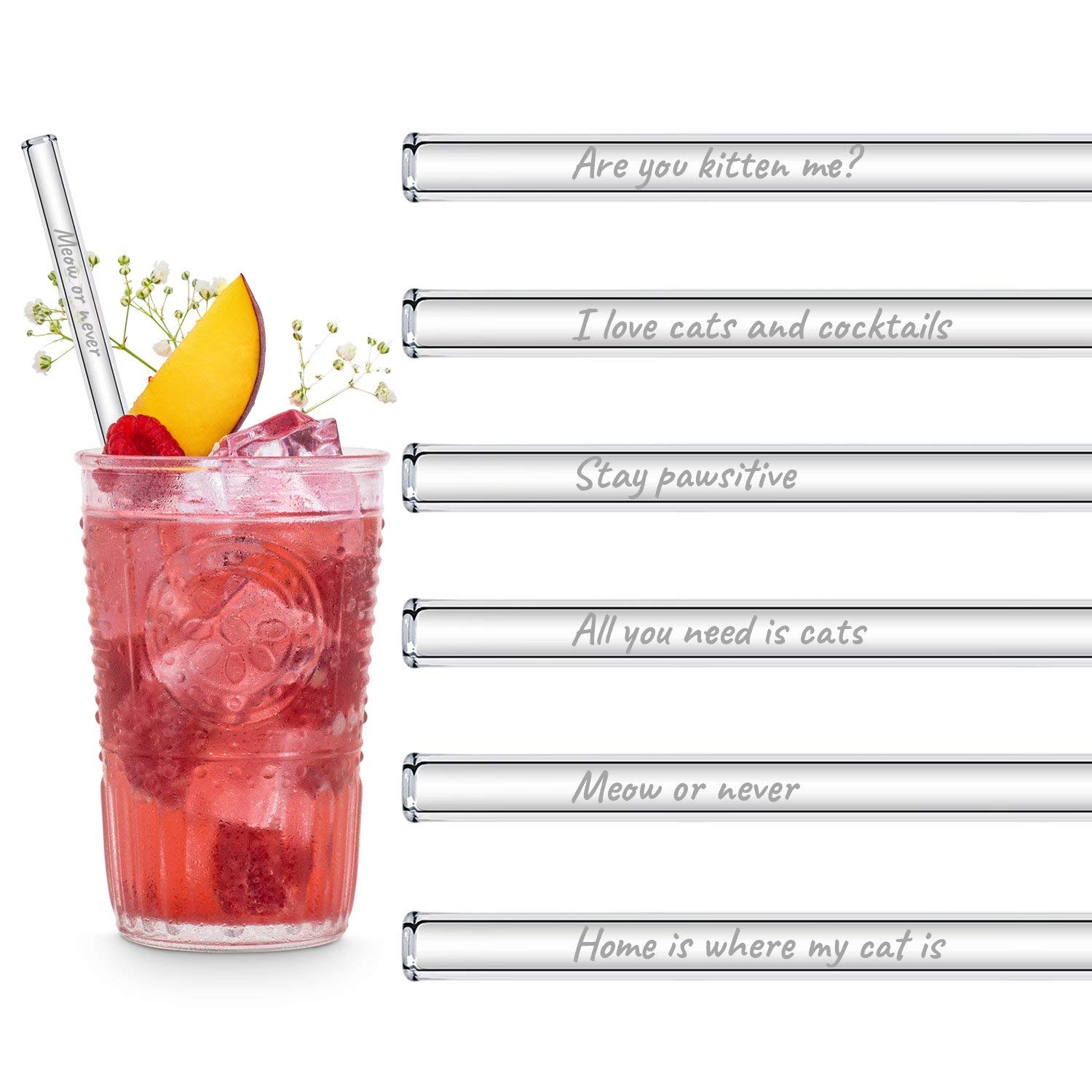 HALM Glass Straws - Cat Sayings Edition - 6 Reusable Drinking Straws With Engraved Cats Quotations 20cm (8 in) - funny cat quotes, are you kitten me - Made in Germany - Dishwasher Safe - Eco-Friendly