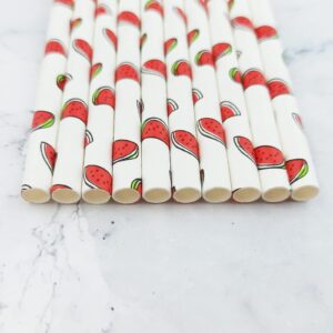 YAOSHENG Premium Disposable Drinking Fruit Paper Straws, Pack 100 Watermelon Paper Straws for Cocktail Party Supplies,Birthday,Bridal/Baby Shower,Juice,Shakes (Watermelon)