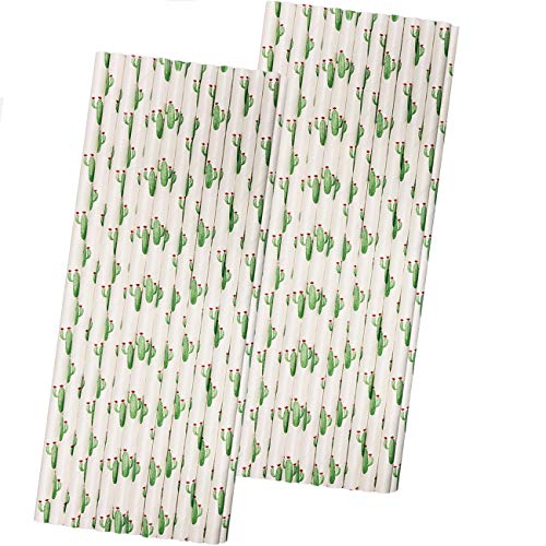 Cactus Themed Paper Straws - Green White Succulents - 50 Pack