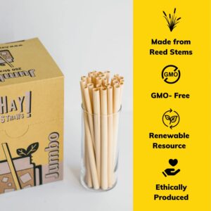 HAY! Straws | Jumbo Tall 8" Drinking Straws | 250 Count Bulk Straws | 5-7.5mm diameter | Reed Stem Straws |100% Plant-based | Certified Compostable Disposable Straws