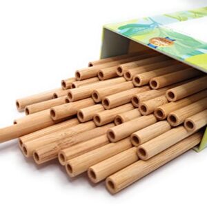 EcoAmiga Bamboo Straw, 8 Inch Reusable & Biodegradable Organic Bulk Straws – Great Ecological Alternative to Plastic Straws (Bamboo)