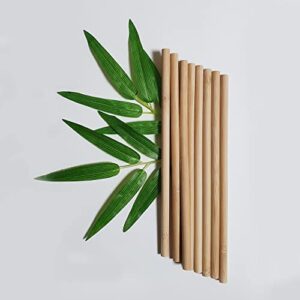 EcoAmiga Bamboo Straw, 8 Inch Reusable & Biodegradable Organic Bulk Straws – Great Ecological Alternative to Plastic Straws (Bamboo)