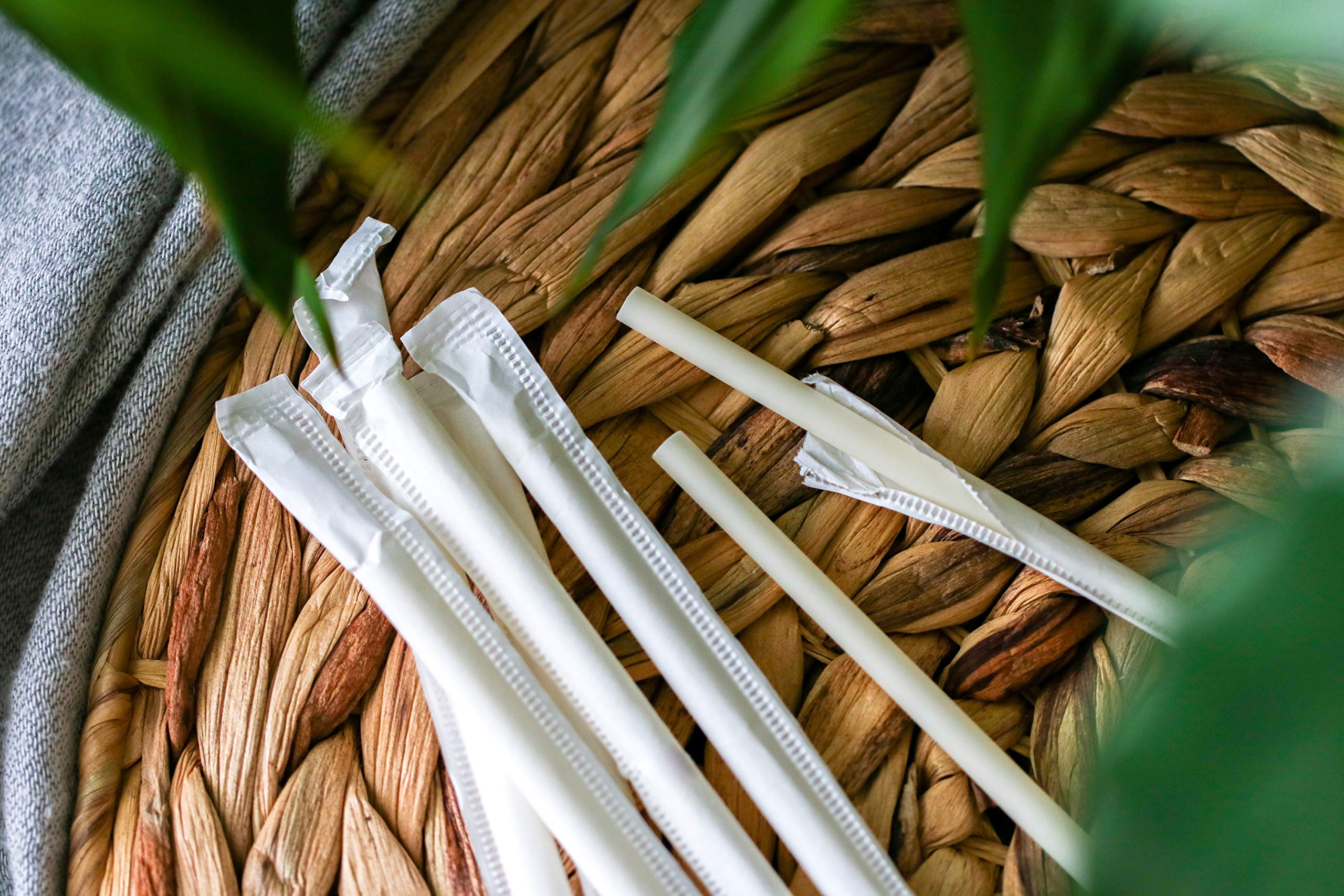 PHA STRAWS - | 100% Plastic Free | Individually Wrapped Biodegradable 8.2" Straws by Ecoware. Marine Biodegradable, Home Compostable, Ocean-friendly, Best Alternative to Paper & Plastic Straws. (5000)