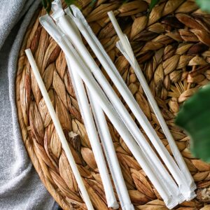 PHA STRAWS - | 100% Plastic Free | Individually Wrapped Biodegradable 8.2" Straws by Ecoware. Marine Biodegradable, Home Compostable, Ocean-friendly, Best Alternative to Paper & Plastic Straws. (5000)