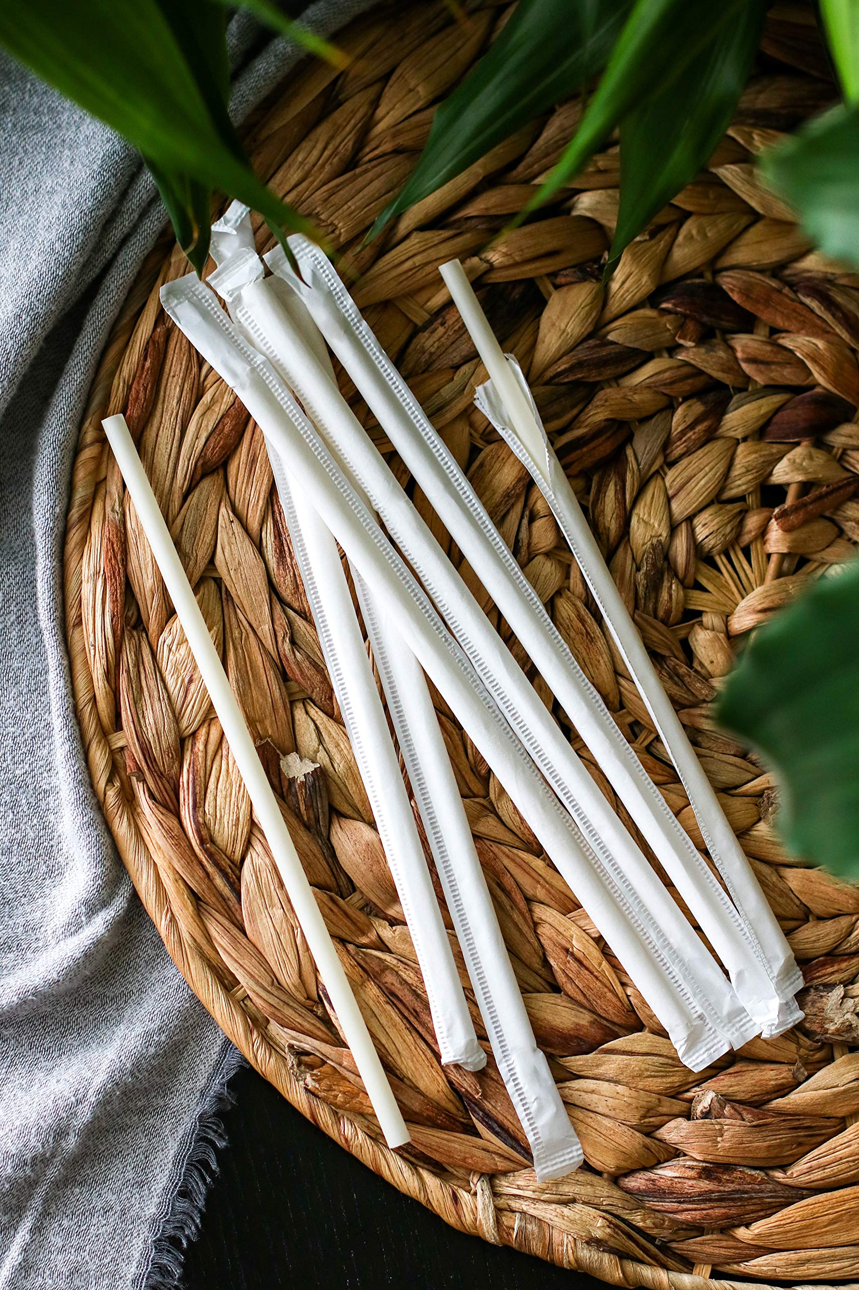 PHA STRAWS - | 100% Plastic Free | Individually Wrapped Biodegradable 8.2" Straws by Ecoware. Marine Biodegradable, Home Compostable, Ocean-friendly, Best Alternative to Paper & Plastic Straws. (5000)