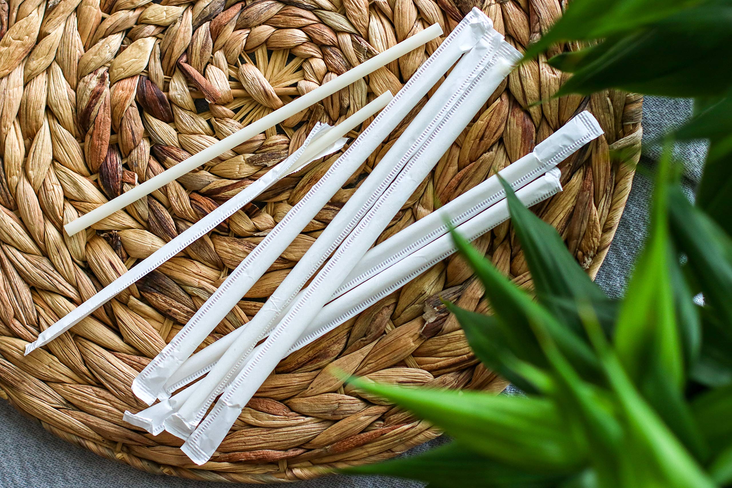 PHA STRAWS - | 100% Plastic Free | Individually Wrapped Biodegradable 8.2" Straws by Ecoware. Marine Biodegradable, Home Compostable, Ocean-friendly, Best Alternative to Paper & Plastic Straws. (5000)