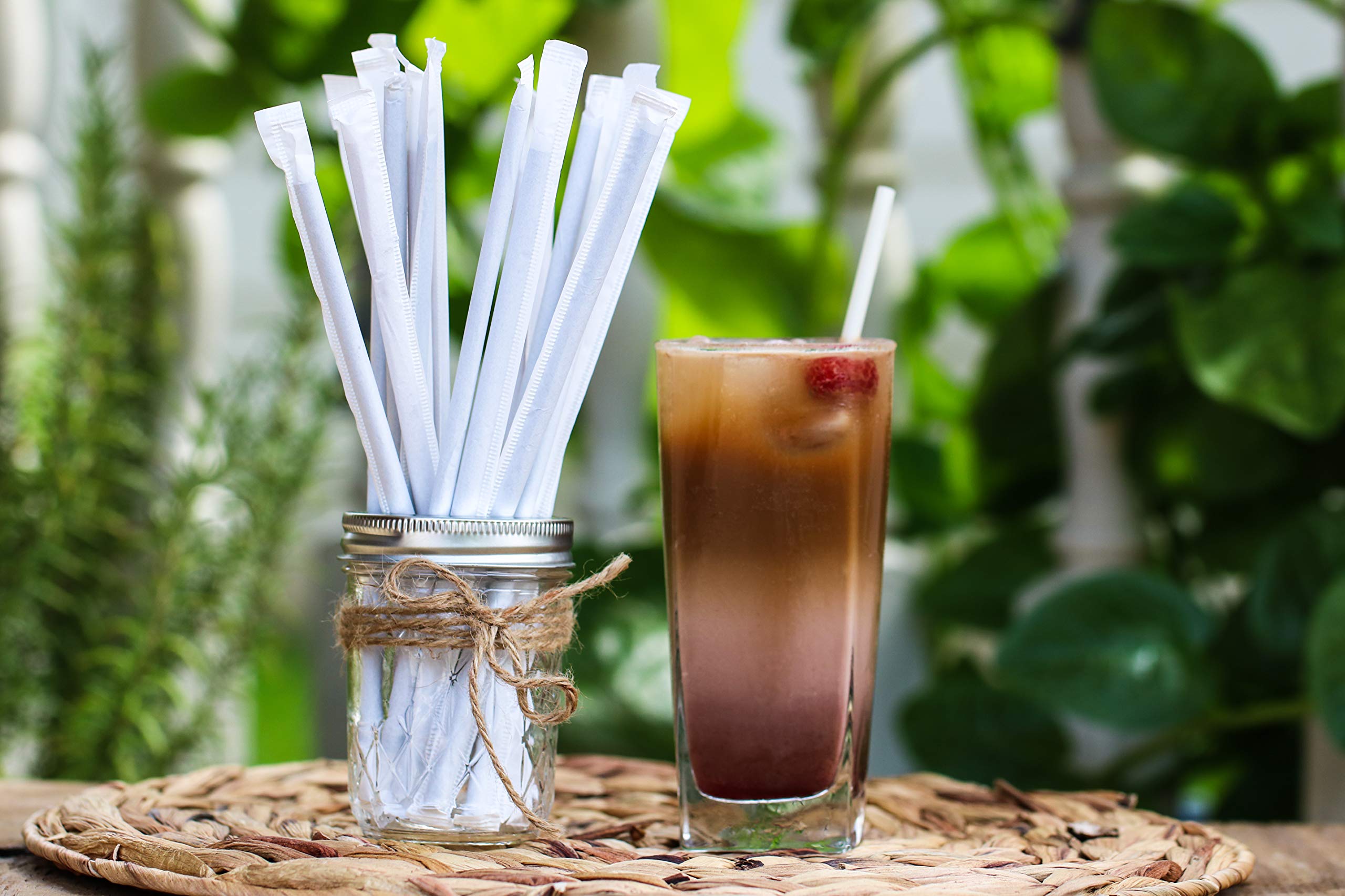 PHA STRAWS - | 100% Plastic Free | Individually Wrapped Biodegradable 8.2" Straws by Ecoware. Marine Biodegradable, Home Compostable, Ocean-friendly, Best Alternative to Paper & Plastic Straws. (5000)