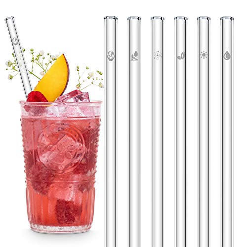 HALM Glass Straws - Climate Change Edition - 6 Reusable Drinking Straws With Engraved Icons 20cm (8 in) - World, Sun, Environment, Sustainability - Made in Germany - Dishwasher Safe - Eco-Friendly