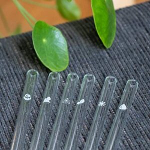 HALM Glass Straws - Climate Change Edition - 6 Reusable Drinking Straws With Engraved Icons 20cm (8 in) - World, Sun, Environment, Sustainability - Made in Germany - Dishwasher Safe - Eco-Friendly