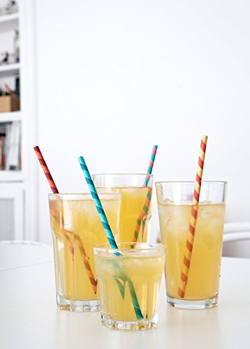 Kikkerland Biodegradable Party Stripes Paper Straws, Multicolored, Box of 144