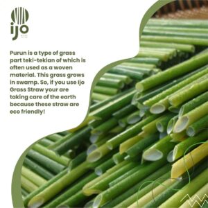 ijo grass straw IJO grass straws 100% natural, biodegradable, compostable, plastic free, eco drinking straws Pack of 100