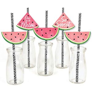 big dot of happiness sweet watermelon - paper straw decor - fruit party striped decorative straws - set of 24