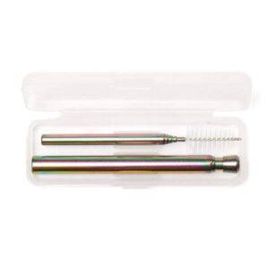 Kikkerland Travel Straw Set- Iridscent