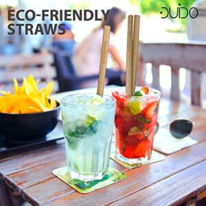 Organic Bamboo Straws Reusable â€“ Multiple Packs Eco Friendly Biodegradable Non Plastic Wood Drinking Straw (12 PACK)