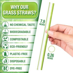 TXV Mart Eco-Friendly Disposable Party Grass Straws Drinking 100% Natural, Biodegradable, and Compostable (Pack of 100)