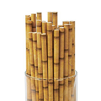 Bamboo Print Biodegradable Paper Straws - Multi Packs (24)