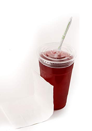 [300 Pack] Clear Biodegradable Plant Based Wrapped Straws - BPA Free - Eco Friendly Straws - biodegradable - 100% Compostable - Drinking Straws Great for Parties, Office, Restaurants (1 Box)