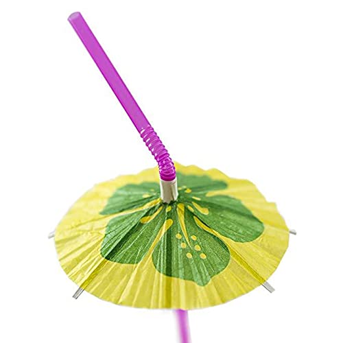 DelightBox 24 Multicolored Cocktail Parasol Umbrella Straws