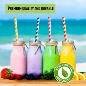 Naturalik 100-Pack Extra Durable Paper Straws Biodegradable (Multicolor, 100pc)