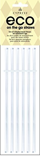 Peachy Kitchen Acrylic Straws, Set of 6