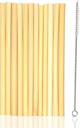 WorldFront Naturals Reusable Straws with Case & Straw Cleaner Brush - Eco Friendly Bamboo Straws Reusable Pack of 10, Used as Cocktail Straws, Smoothie Straws, Travel Straws, Coffee Straws