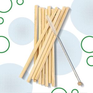 WorldFront Naturals Reusable Straws with Case & Straw Cleaner Brush - Eco Friendly Bamboo Straws Reusable Pack of 10, Used as Cocktail Straws, Smoothie Straws, Travel Straws, Coffee Straws