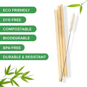 WorldFront Naturals Reusable Straws with Case & Straw Cleaner Brush - Eco Friendly Bamboo Straws Reusable Pack of 10, Used as Cocktail Straws, Smoothie Straws, Travel Straws, Coffee Straws