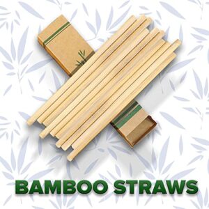 WorldFront Naturals Reusable Straws with Case & Straw Cleaner Brush - Eco Friendly Bamboo Straws Reusable Pack of 10, Used as Cocktail Straws, Smoothie Straws, Travel Straws, Coffee Straws