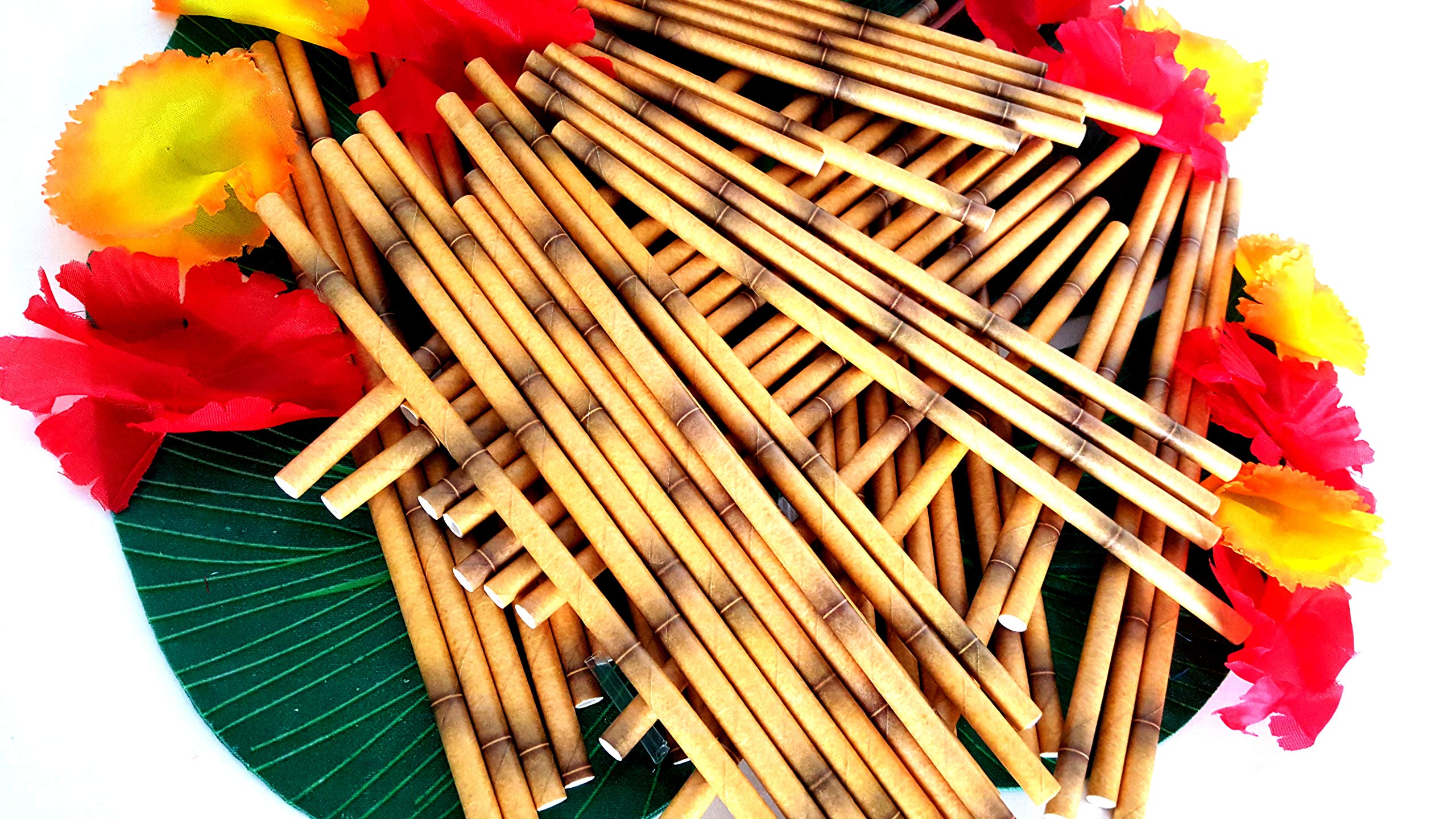 Bamboo Paper Straws, by Dondor (Bamboo (48 Piece))