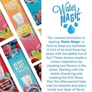 Water Magic Immune Defense Water Flavor Enhancing Straws - Includes 7 Berry Boost Straws and 7 Mega Orange Immune Support Straws