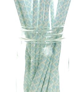 Light Aqua Baby Blue Damask Floral Straws (25 Pack) - Boy Baby Shower Supplies, Victorian Damask Party Straws, Wedding Vintage Straws, Flower Swirl Paper Straws