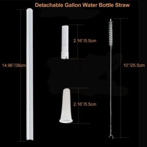 TeHappy Long Straw for Gallon Water Bottle, Reusable Straws Replacement for 64oz and 128oz Big Bottles Jugs, 8 Extra Long 14.9’’ Straws with 4 Cleaning Brushes Set of 12, Cut to Fit Any Water Jug