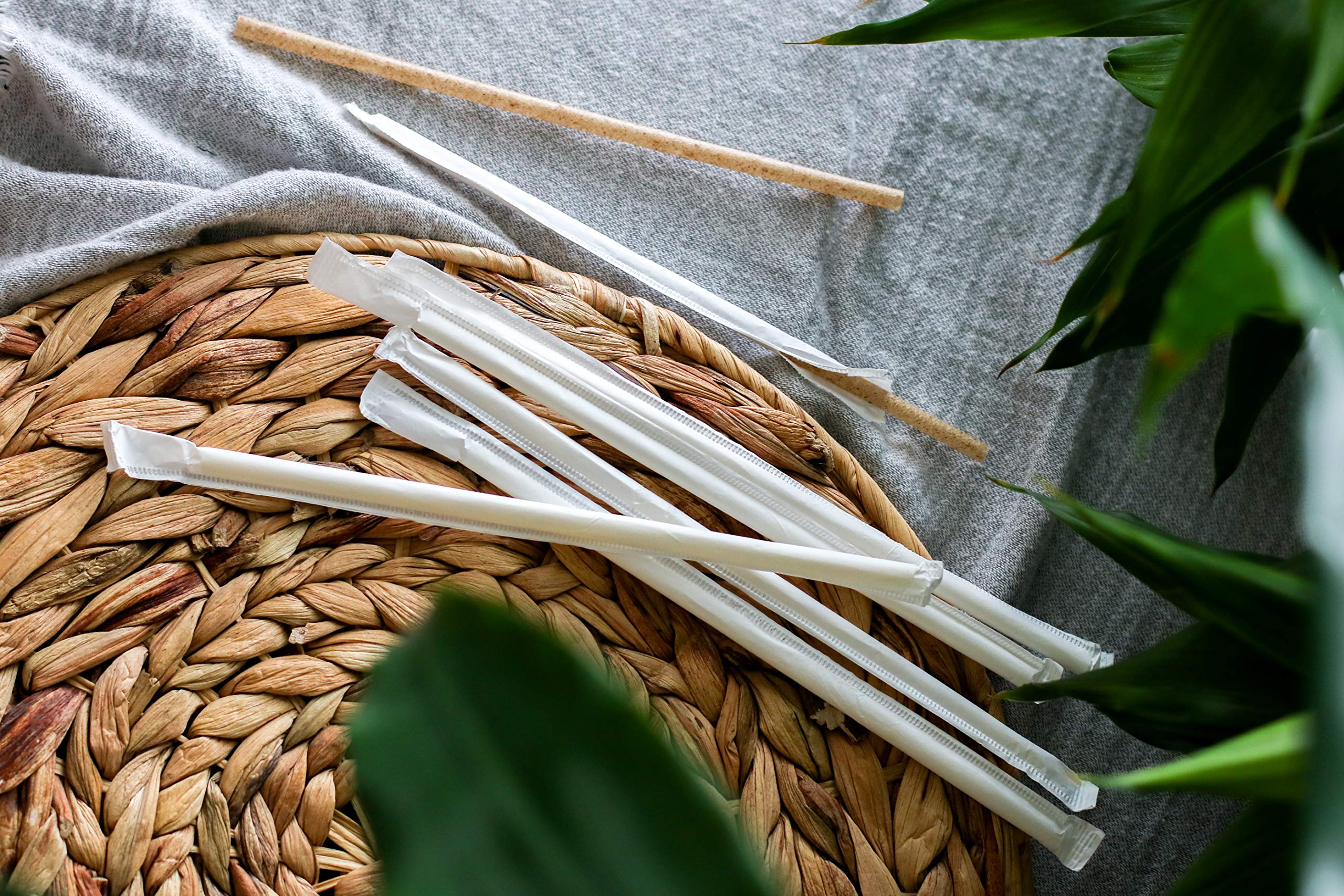 AGAVE FIBER STRAWS - 500ct Individually Wrapped Biodegradable 8.2" Straws by Ecoware. Plant Based, Eco-friendly, 100% Recyclable, Alternative to Paper & Plastic Straws