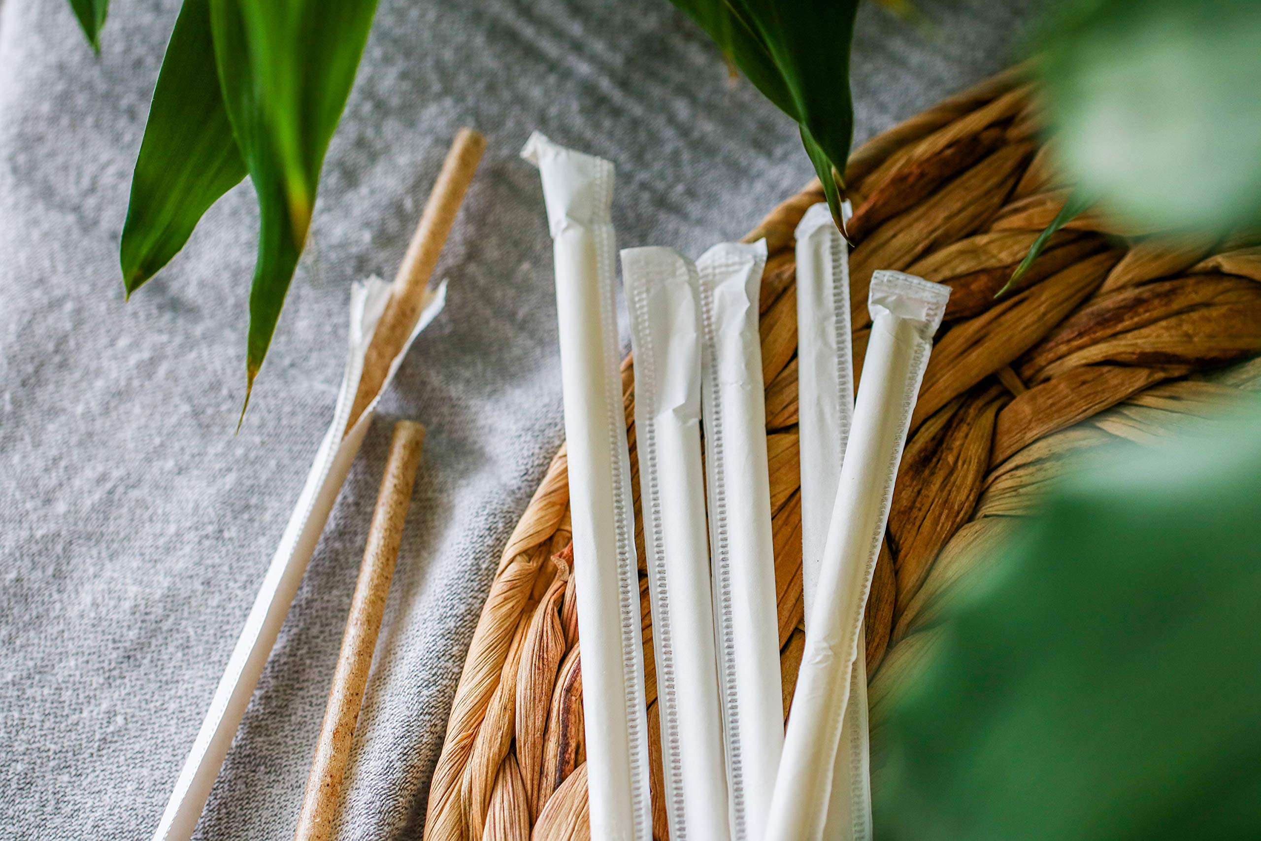 AGAVE FIBER STRAWS - 500ct Individually Wrapped Biodegradable 8.2" Straws by Ecoware. Plant Based, Eco-friendly, 100% Recyclable, Alternative to Paper & Plastic Straws